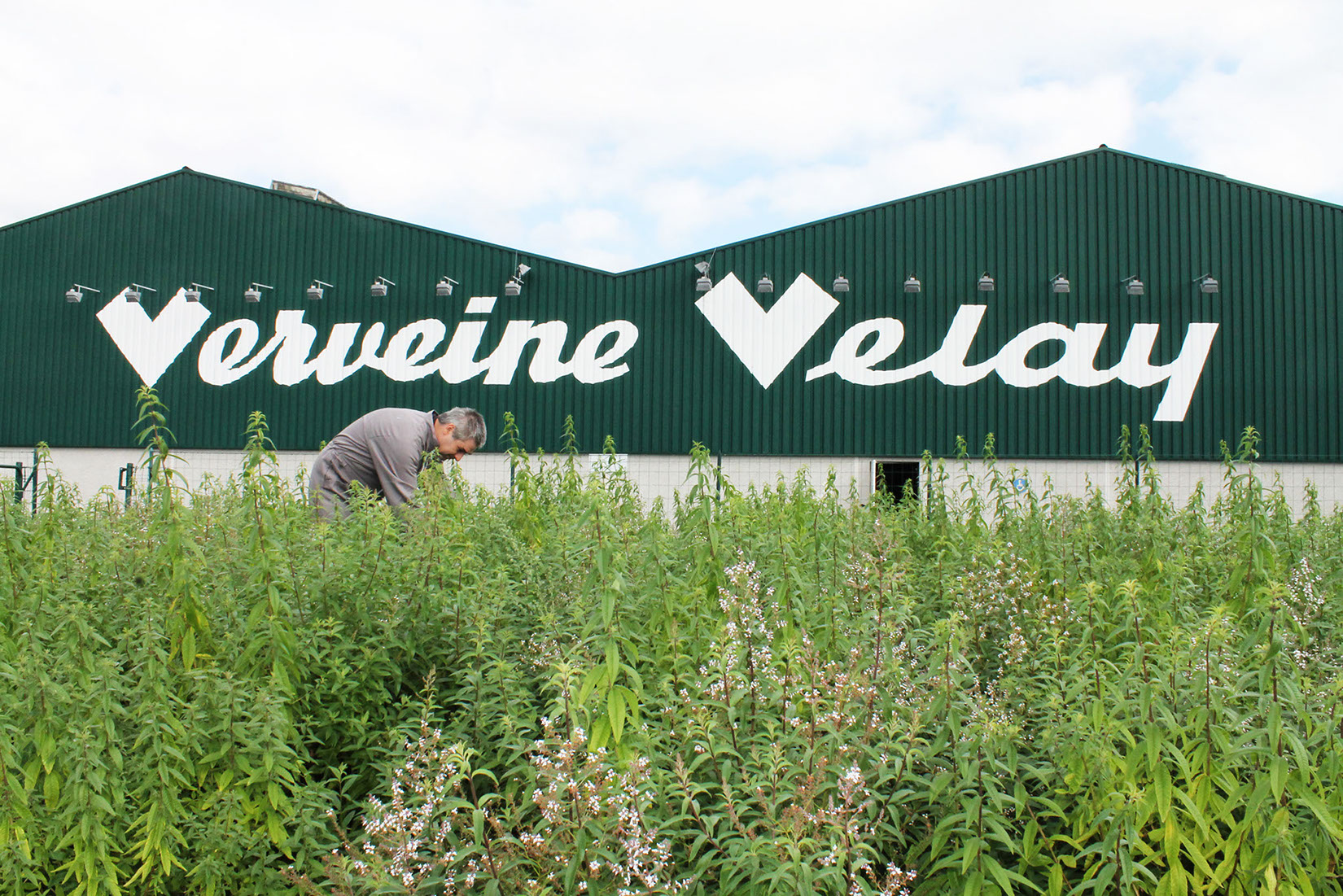 ICONIC NECTARS - RENAUD COINTREAU - Entrepreneurs de terroirs